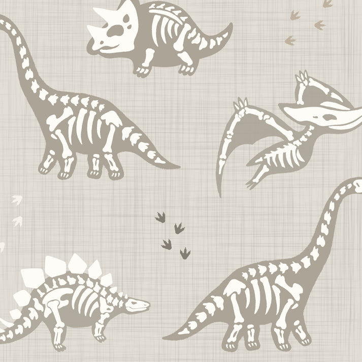 Dino Bones – Mumma & Cubs